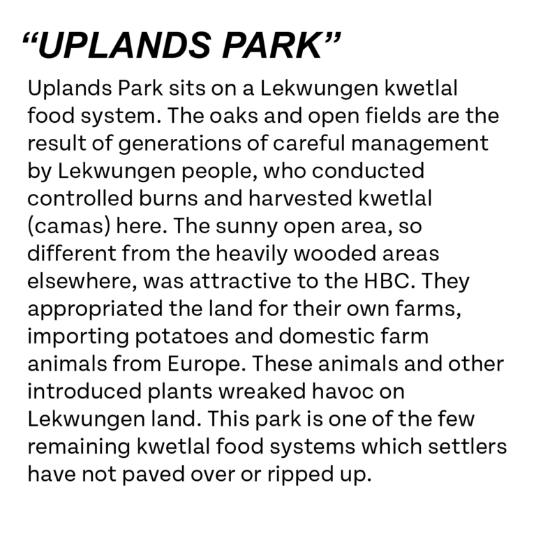 Uplands Park – colonialism in victoria, bc